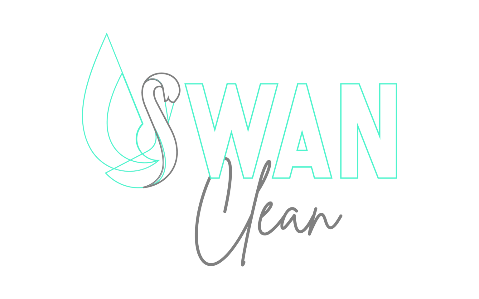 ABOUT – Swan Clean